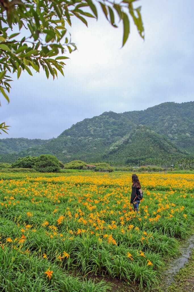 15 Breathtaking Flower Fields Around the World That You Have to Frolic ...