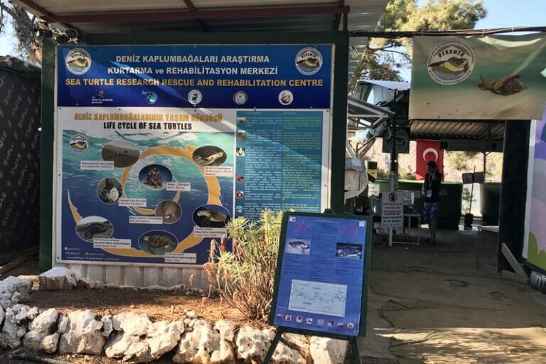 Turkey's Turquoise Coast: 11 Unmissable Things to Do in Fethiye | Yoga ...