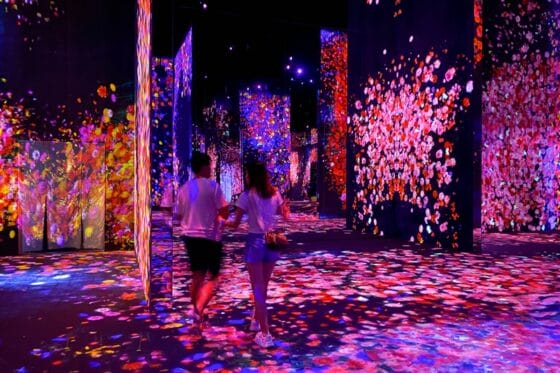 Teamlab Supernature in Macau: Everything You Need to Know for Your ...