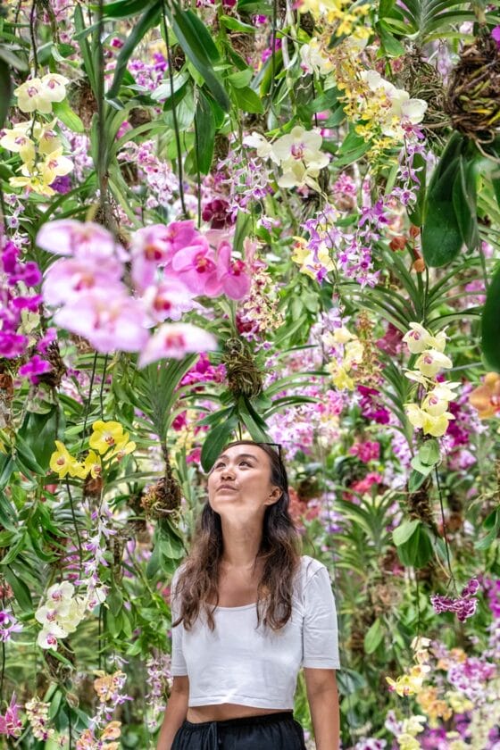 Teamlab Supernature in Macau: Everything You Need to Know for Your ...