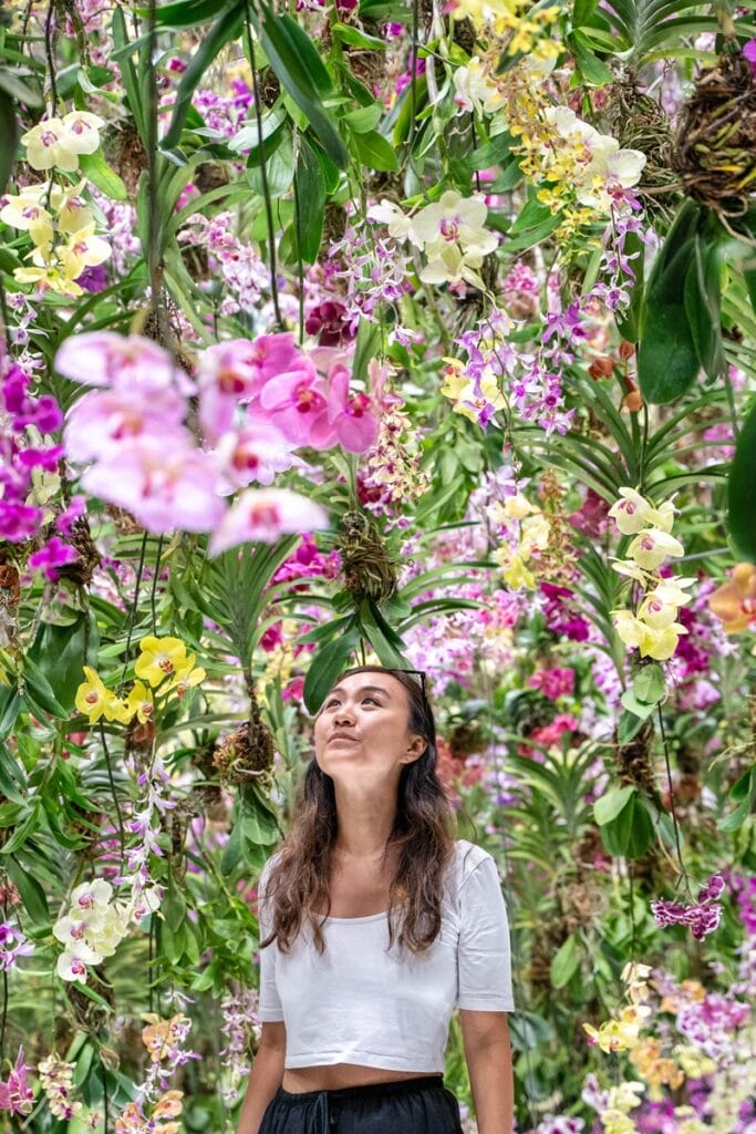 Teamlab Supernature in Macau: Everything You Need to Know for Your ...