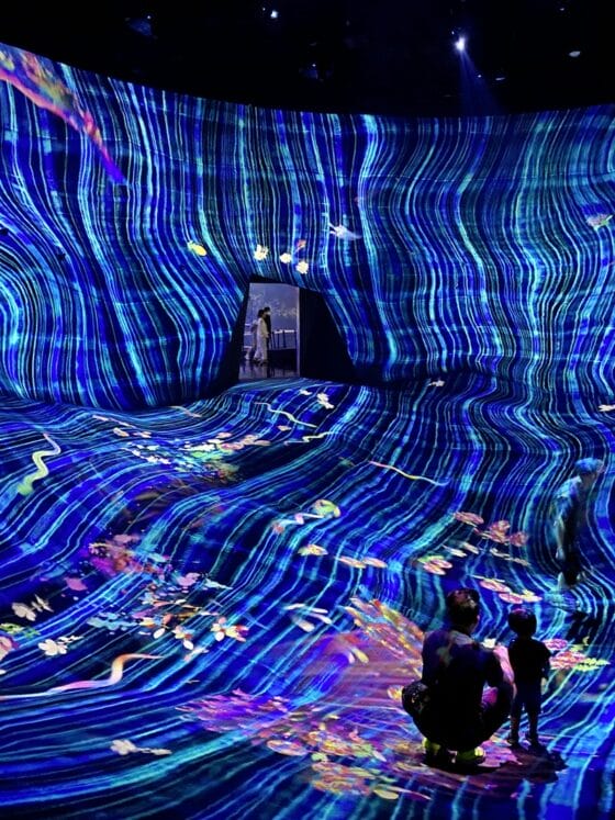 Teamlab Supernature in Macau: Everything You Need to Know for Your ...