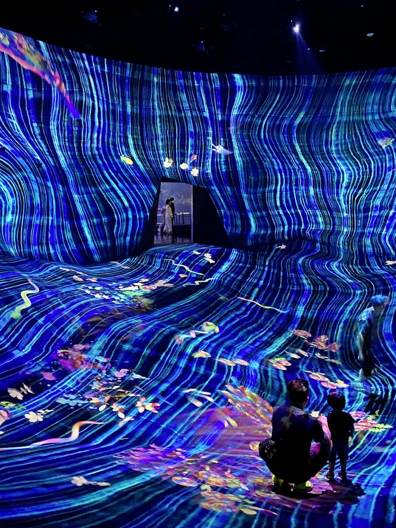 Teamlab Supernature in Macau: Everything You Need to Know for Your ...