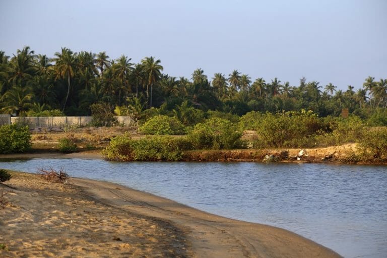 5 Top Things to Do in Kalpitiya in Western Sri Lanka | Yoga, Wine & Travel