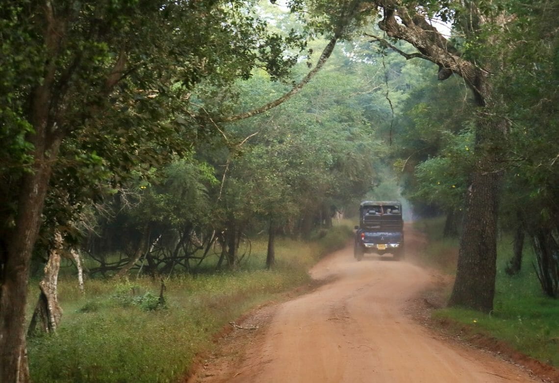 Wilpattu National Park Safari: See the Wildlife in Sri Lanka's Largest ...