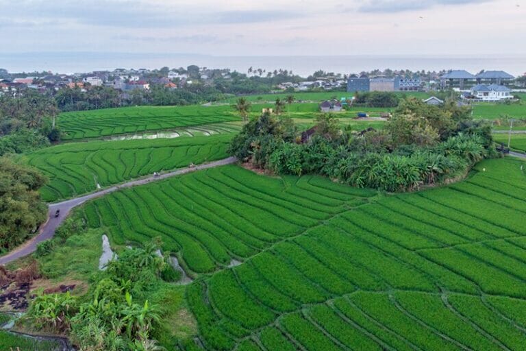 10 Things to Do in Canggu in Bali (Including Tips for First-Time ...