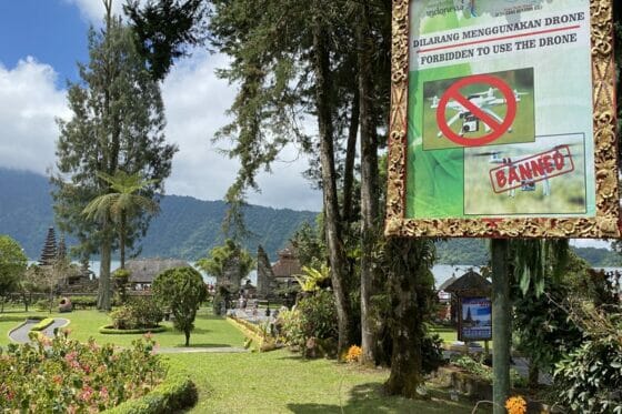 13 Things to Do in Ubud in Bali (Plus Tips for Avoiding the Crowds ...