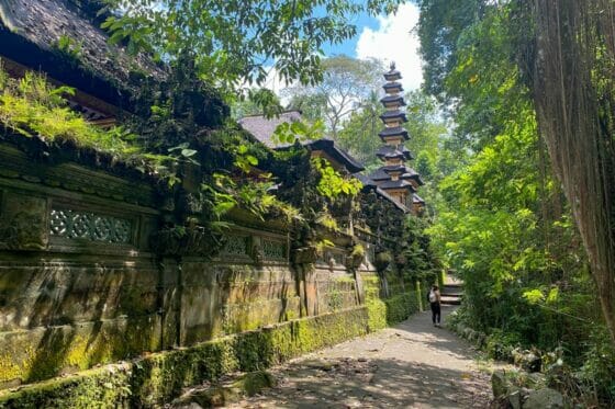 13 Things to Do in Ubud in Bali (Plus Tips for Avoiding the Crowds ...