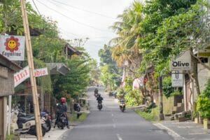 13 Things to Do in Ubud in Bali (Plus Tips for Avoiding the Crowds ...