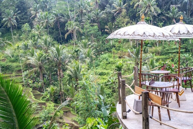 13 Things to Do in Ubud in Bali (Plus Tips for Avoiding the Crowds ...
