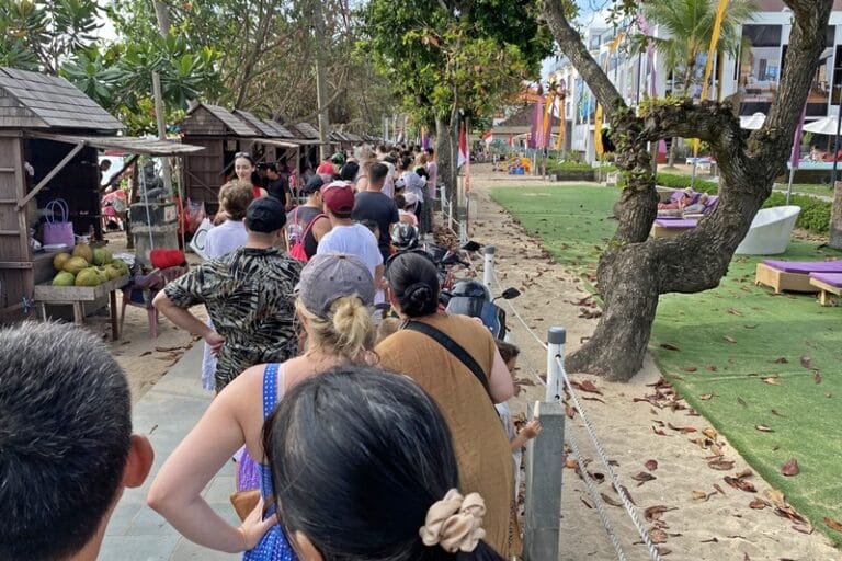 Releasing Turtles in Bali: Is It Ethical? | Yoga, Wine & Travel