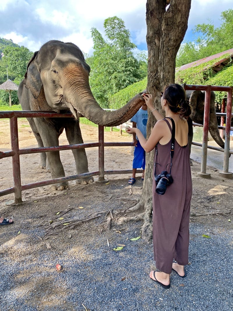 Samui Elephant Haven: Ethical Elephant Sanctuary in Koh Samui | Yoga ...