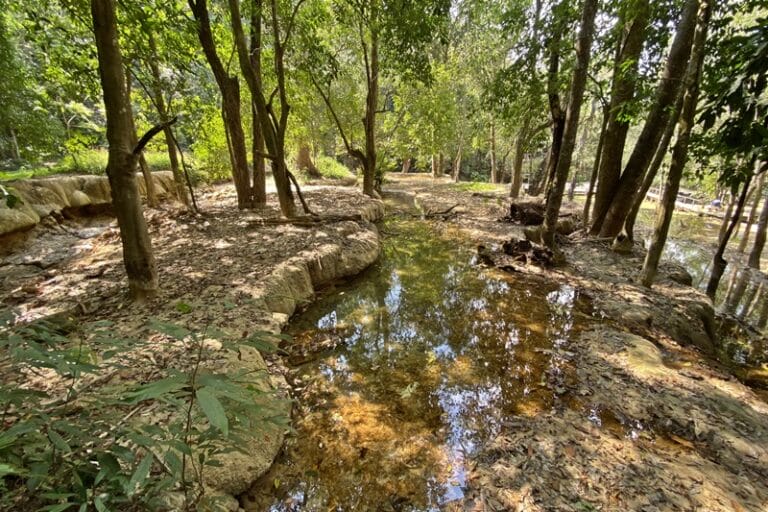 Visiting Tad Sae Waterfall in Luang Prabang in Laos | Yoga, Wine & Travel