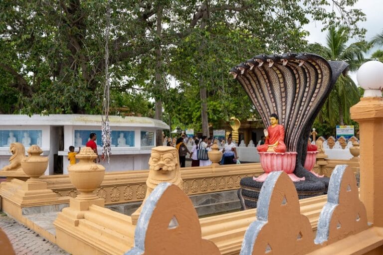 Exploring Jaffna in Sri Lanka’s Far North: Here’s What To Expect | Yoga, Wine & Travel