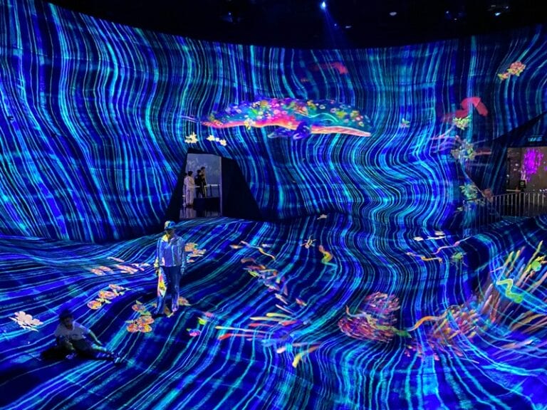 Teamlab Supernature in Macau: Everything You Need to Know for Your ...