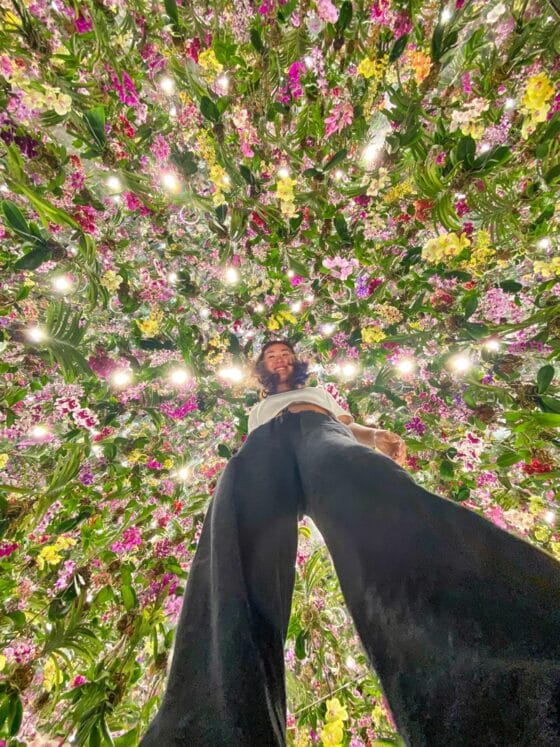 Teamlab Supernature in Macau: Everything You Need to Know for Your ...