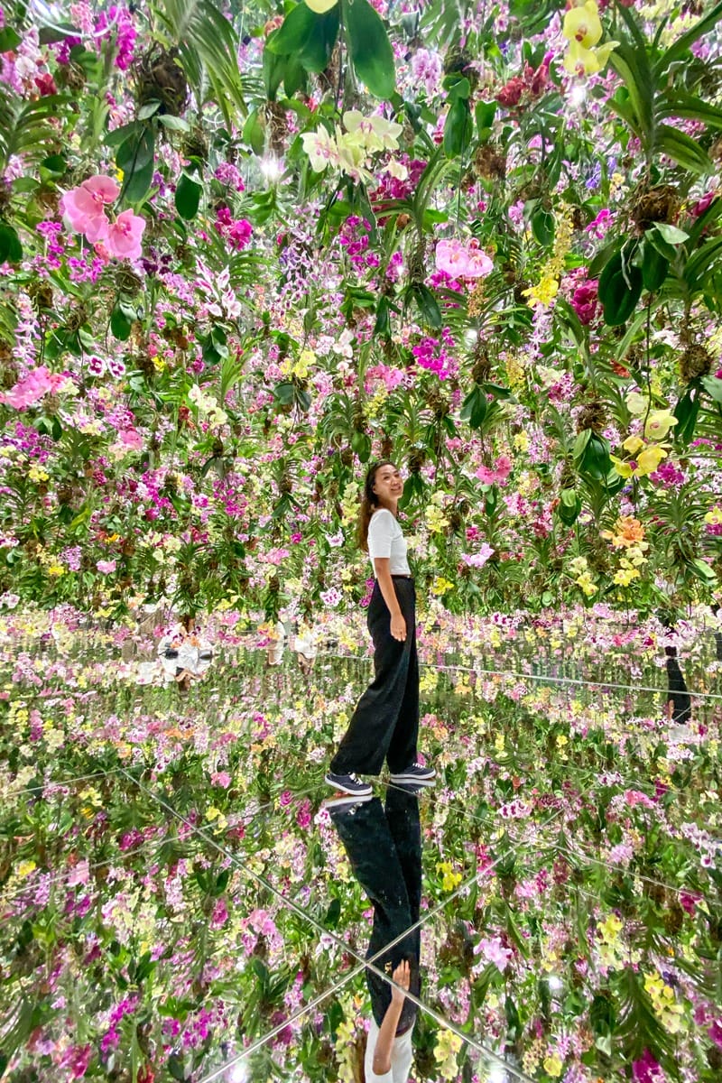 Teamlab Supernature in Macau: Everything You Need to Know for Your ...