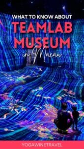 Teamlab Supernature in Macau: Everything You Need to Know for Your ...