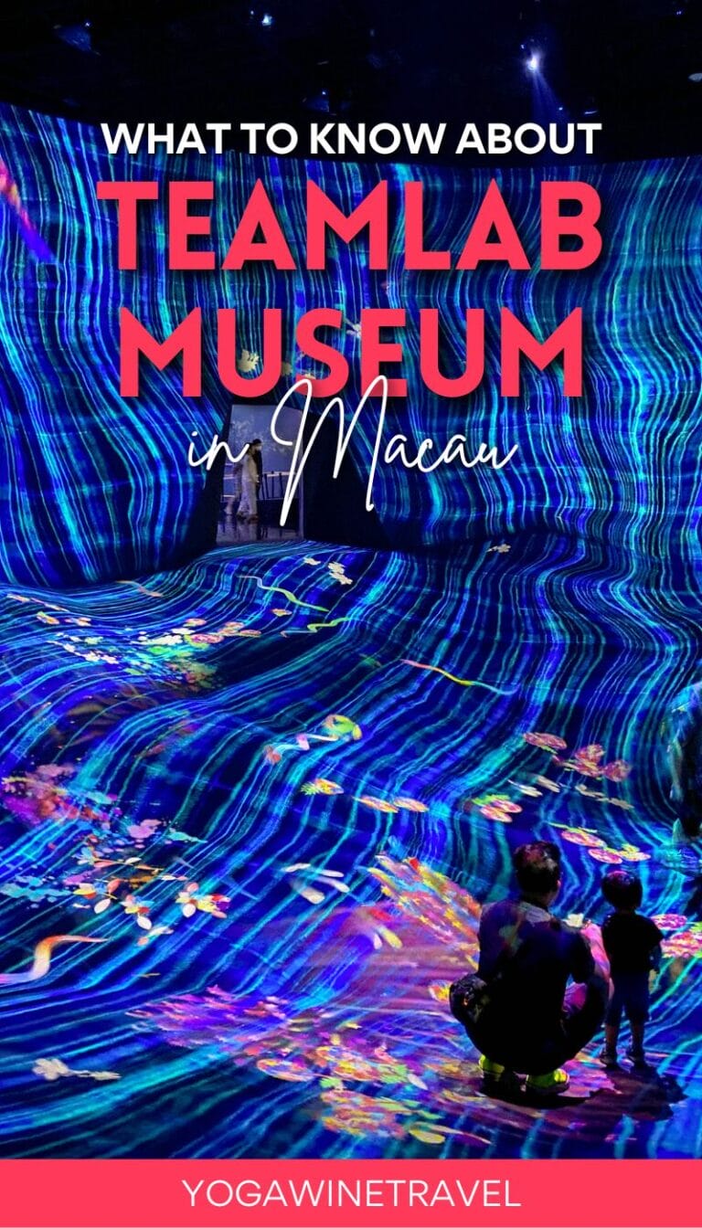 Teamlab Supernature in Macau: Everything You Need to Know for Your ...