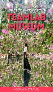 Teamlab Supernature in Macau: Everything You Need to Know for Your ...