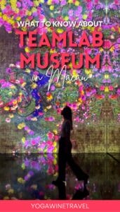 Teamlab Supernature in Macau: Everything You Need to Know for Your ...