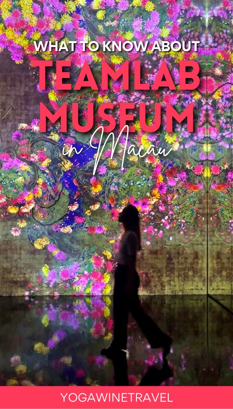 Teamlab Supernature in Macau: Everything You Need to Know for Your ...