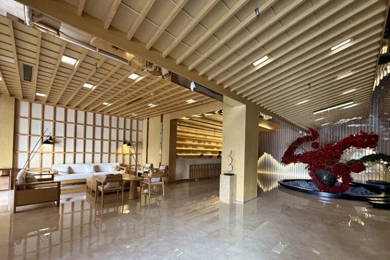 Hong Kong to Shenzhen Spa Day Trip: Tenz Spa Review | Yoga, Wine & Travel